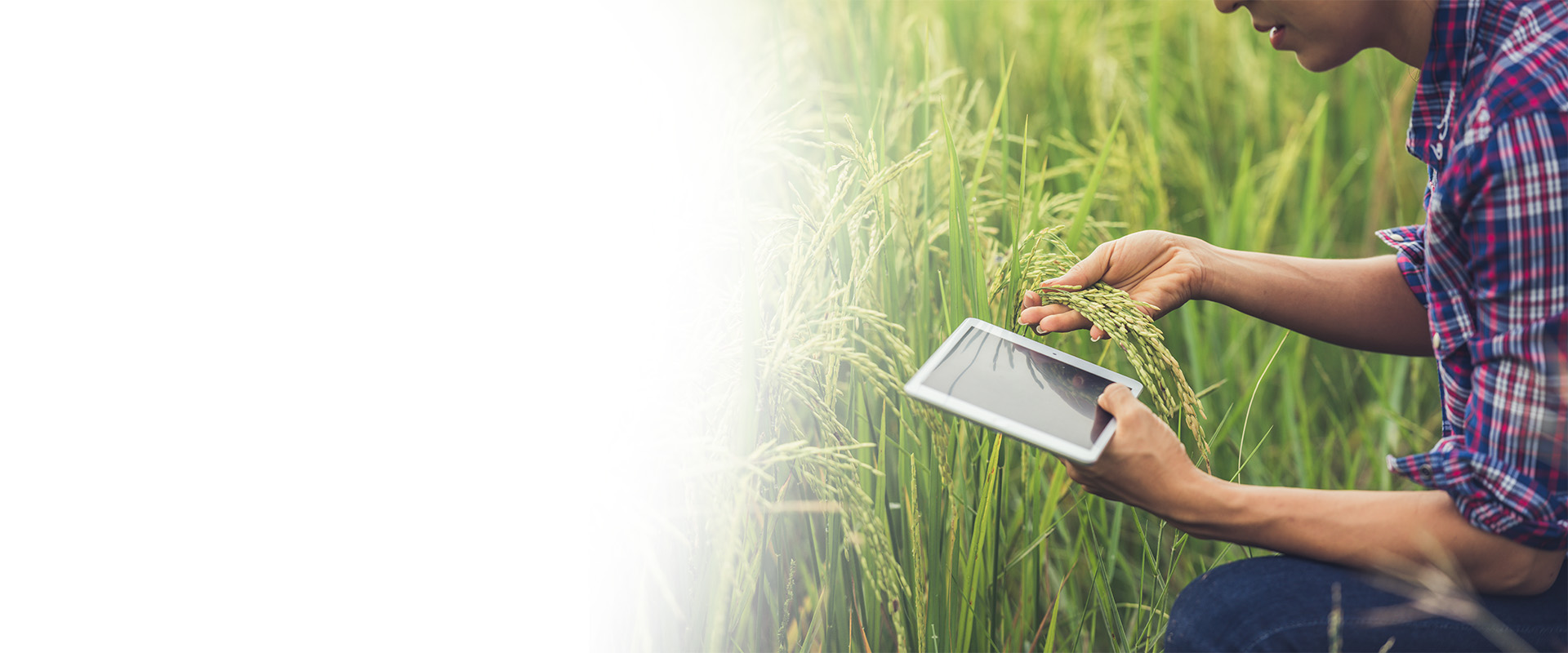 Intellect Informatics – Inspire Innovate